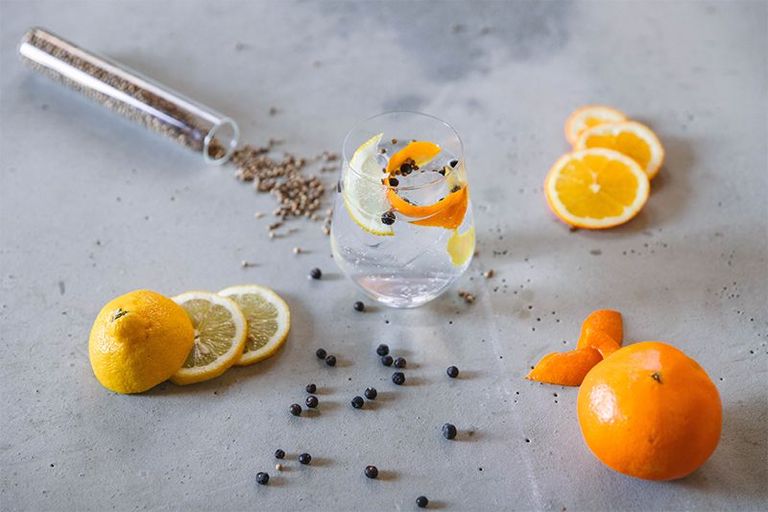 Discover the History of Gin | makeyour.com